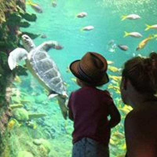 Stream Ashley Lynn Butler music | Listen to songs, albums, playlists ...