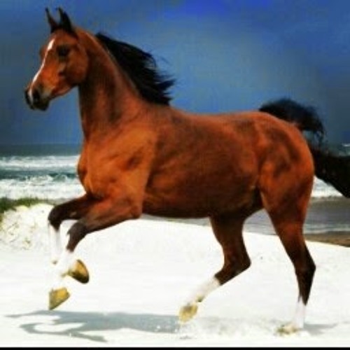 Stream Julia Mahr 1 music | Listen to songs, albums, playlists for free ...