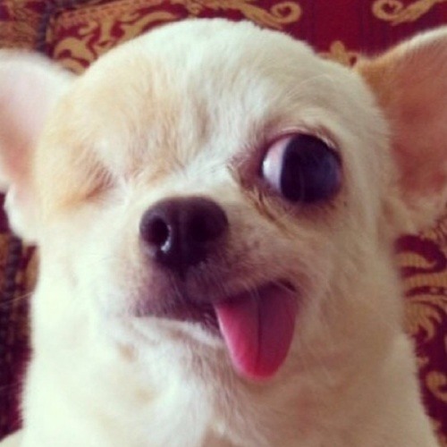 Stream James conlin music | Listen to songs, albums, playlists for free ...