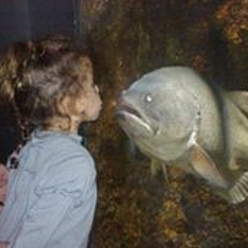 Stream Maria Canu Loriga music | Listen to songs, albums, playlists for ...