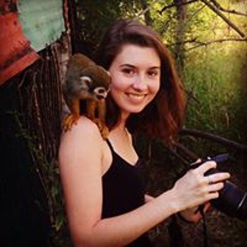 Stream Sarah Johnson 93 music | Listen to songs, albums, playlists for ...