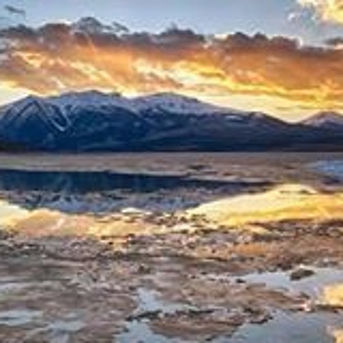 Stream Noah Sings by Kari Hendrickson Locher | Listen online for free ...