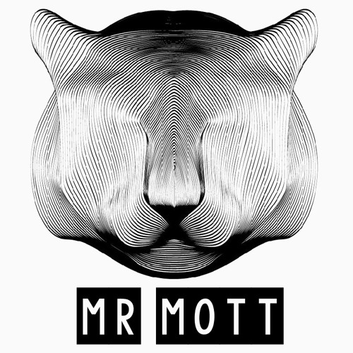 Stream MR MOTT music | Listen to songs, albums, playlists for free on ...