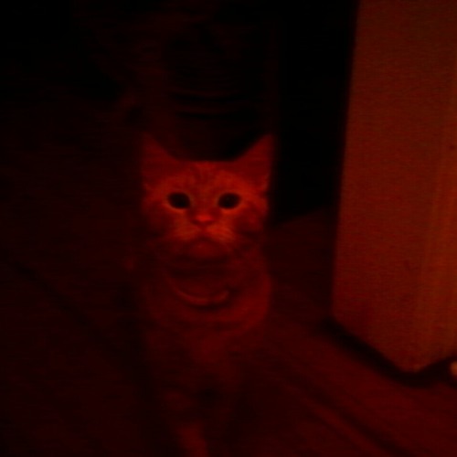 Stream djfjg music | Listen to songs, albums, playlists for free on ...