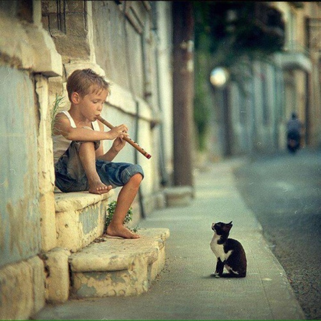 Stream mmmmj music | Listen to songs, albums, playlists for free on ...