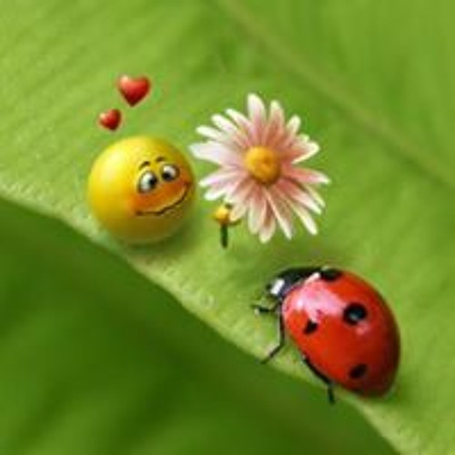 Stream Bill Bauser music | Listen to songs, albums, playlists for free ...