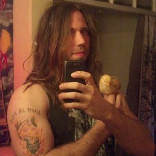 Stream Dan Hammer music | Listen to songs, albums, playlists for free ...