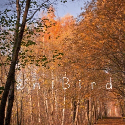 Stream a n t B i r d music | Listen to songs, albums, playlists for ...