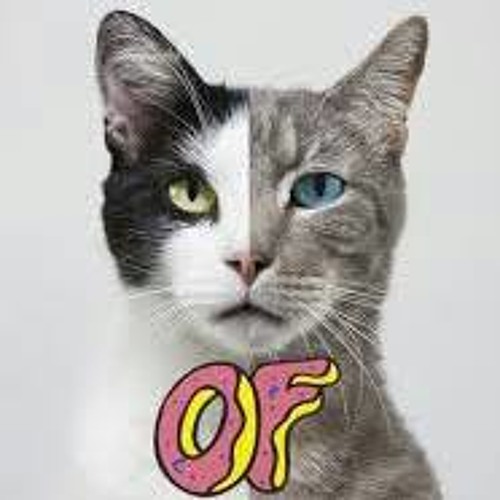 Odd Future Cat Background