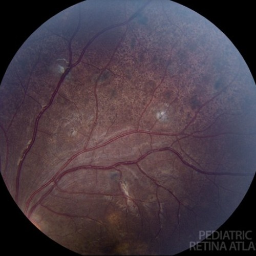 Stream Dusn music | Listen to songs, albums, playlists for free on ...