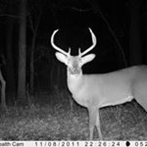 Stream Austin Callahan 1 music | Listen to songs, albums, playlists for ...