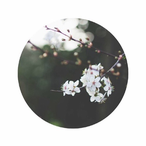 Stream Simran Sohal music | Listen to songs, albums, playlists for free ...