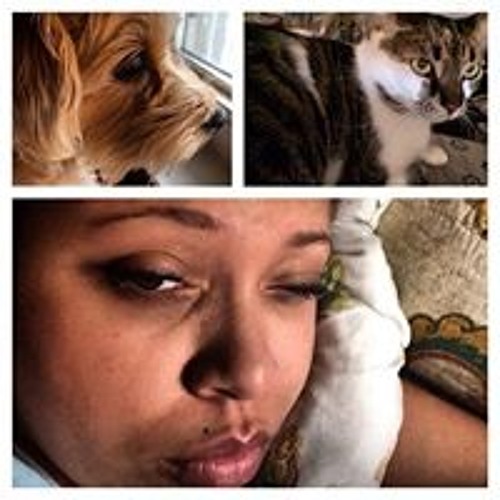 Stream Brook Styles music | Listen to songs, albums, playlists for free ...