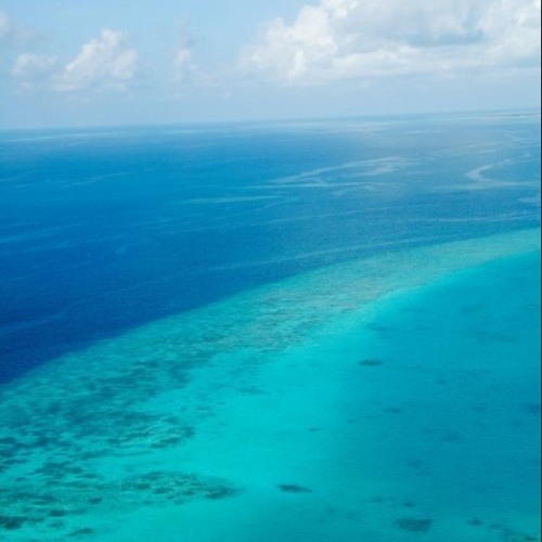 Stream Laura Siebert music | Listen to songs, albums, playlists for ...