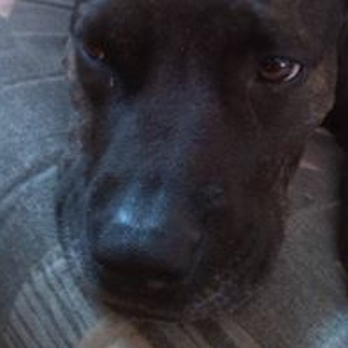 Stream Jason Claydon music | Listen to songs, albums, playlists for ...