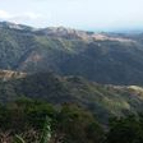 Stream Nicholas Samsel music | Listen to songs, albums, playlists for ...