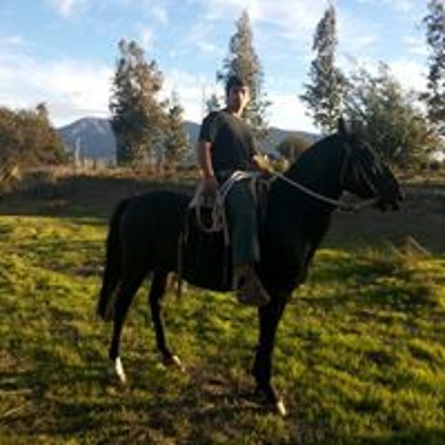 Stream Rene Ignacio 1 music | Listen to songs, albums, playlists for ...