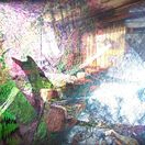 Stream Hey There Chowder by Brad Ruis | Listen online for free on ...