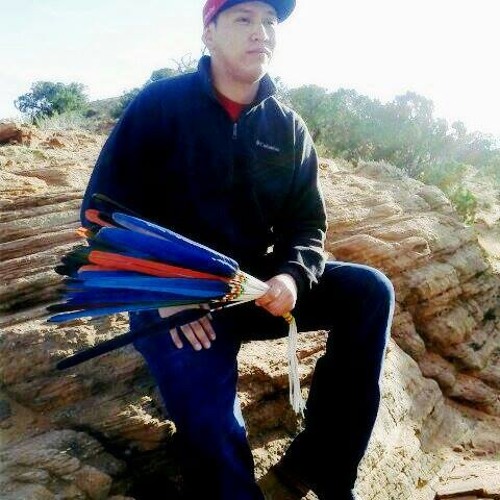 Stream DominickFowler music | Listen to songs, albums, playlists for ...