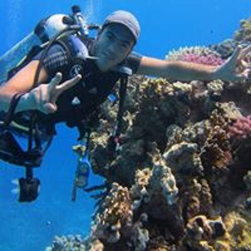 Stream Bob Diver music | Listen to songs, albums, playlists for free on ...