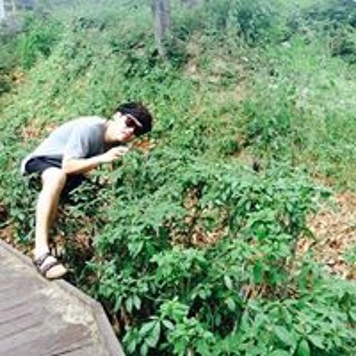 Stream Sun Injong Heo music | Listen to songs, albums, playlists for ...