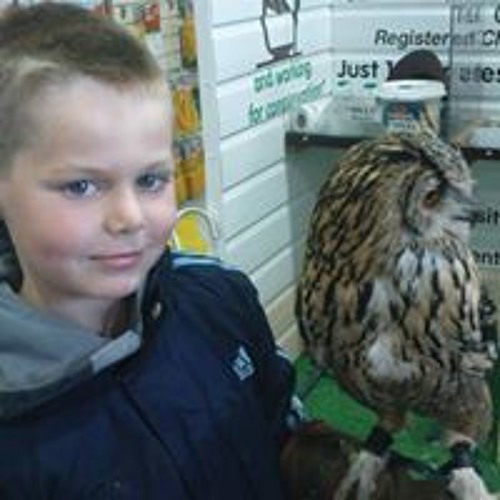 Stream Callum Whitehead 2 music | Listen to songs, albums, playlists ...