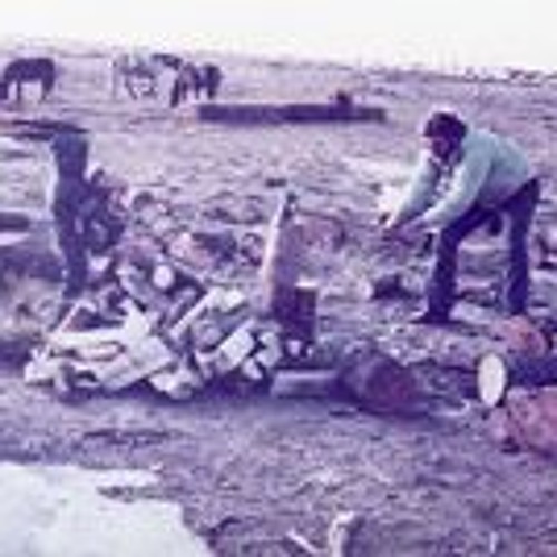 Stream William Reiter music | Listen to songs, albums, playlists for ...