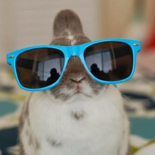 Stream Georgia Howe 1 music | Listen to songs, albums, playlists for ...