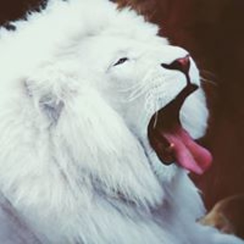 Stream Sheraz Tanveer Butt music | Listen to songs, albums, playlists ...