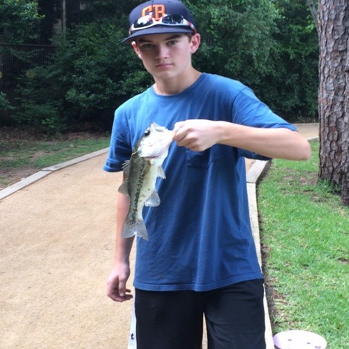 Stream jack rogan music | Listen to songs, albums, playlists for free ...