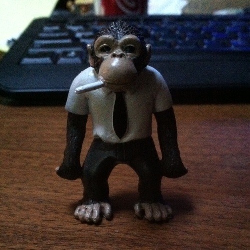 Stream nolan_reardon music | Listen to songs, albums, playlists for ...