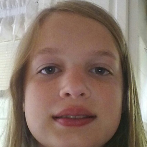 Stream zebragirl1st | Listen to minecraft songs playlist online for ...