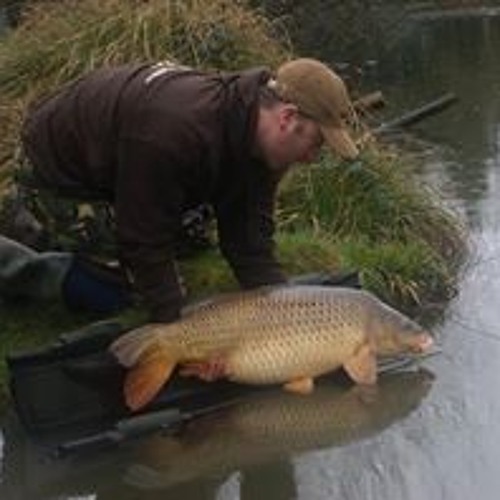 Stream Jason Markham 4 music | Listen to songs, albums, playlists for ...