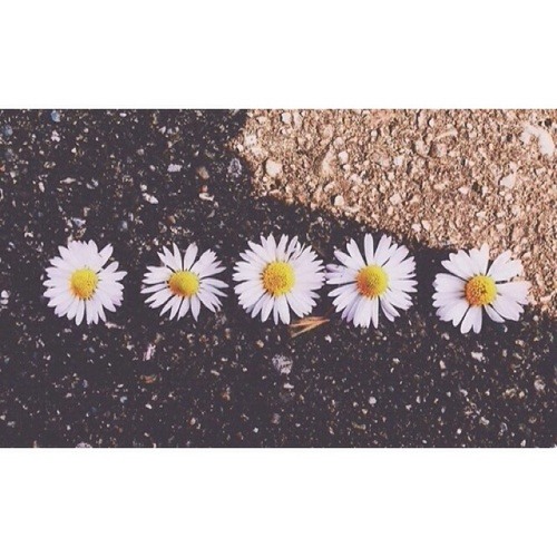 Stream Asyana Sofeana music | Listen to songs, albums, playlists for ...