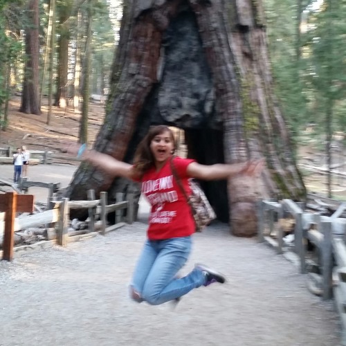 Stream thumri music | Listen to songs, albums, playlists for free on ...