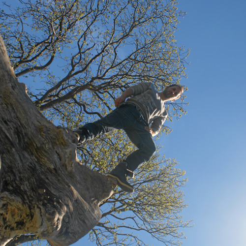 Stream Gary McCallum music | Listen to songs, albums, playlists for ...