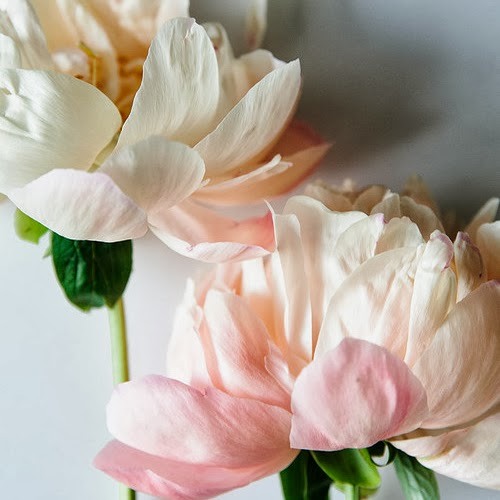 Stream Anna Gjerde music | Listen to songs, albums, playlists for free ...