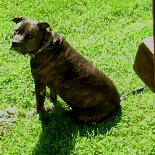 Stream katie71 music | Listen to songs, albums, playlists for free on ...