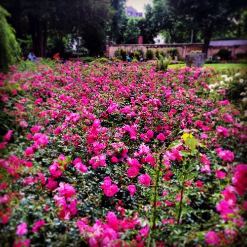 Stream Becks1602 music | Listen to songs, albums, playlists for free on ...