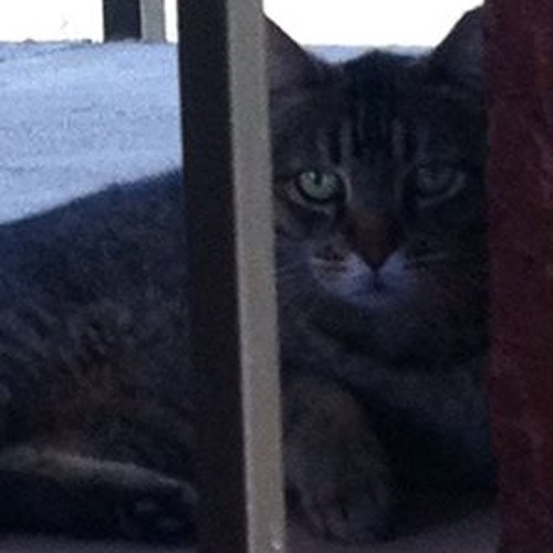 Stream Angelique Gore 1 music | Listen to songs, albums, playlists for ...