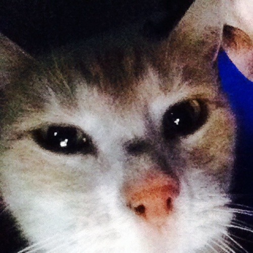 Stream Mark isnt in front of you file by Shonz Banton | Listen online ...