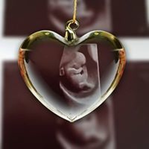 Stream Richard Borstlap music | Listen to songs, albums, playlists for ...