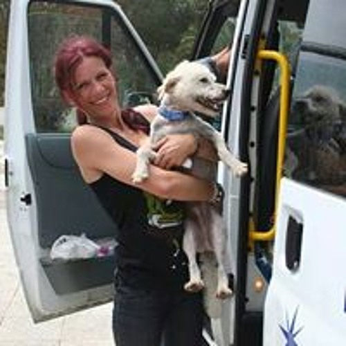 Stream Trace Collins 2 music | Listen to songs, albums, playlists for ...