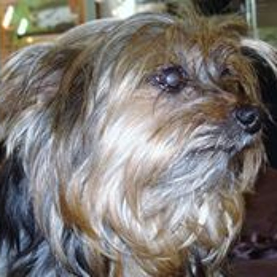 Stream Kathy Proctor-Lokay | Listen to Eric Clapton. Let it rain ...