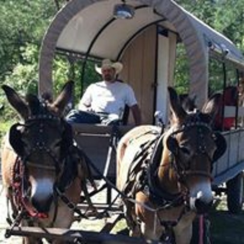 Stream Steve Widner Jr. music | Listen to songs, albums, playlists for ...