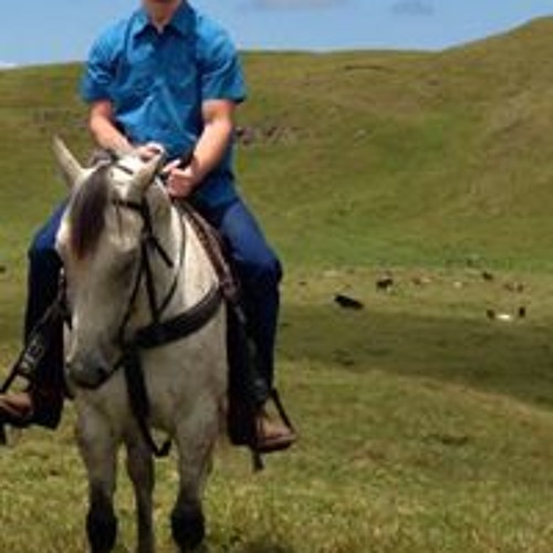 Stream Beau Baugher music | Listen to songs, albums, playlists for free ...