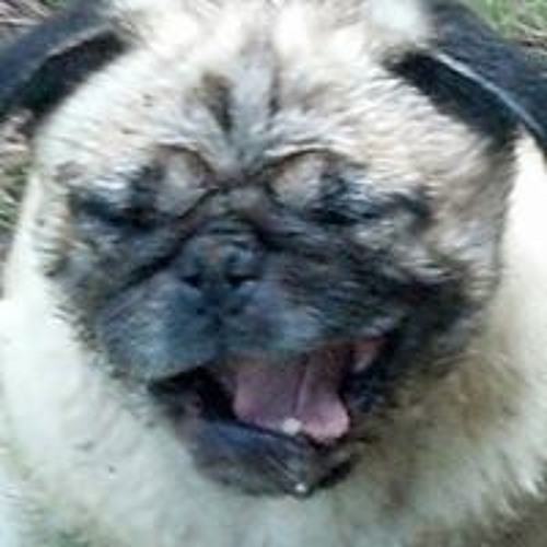 Stream Fred Schroeder 2 music | Listen to songs, albums, playlists for ...