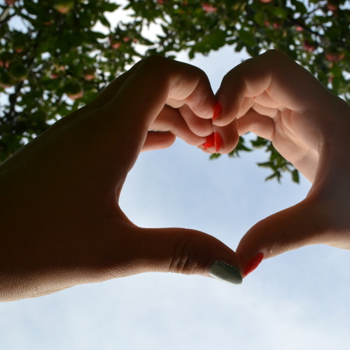 Stream Laura Steer 1 music | Listen to songs, albums, playlists for ...