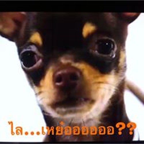 Stream Packzilla Kun music | Listen to songs, albums, playlists for free on SoundCloud