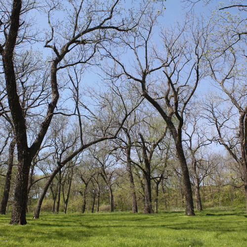 Stream Brian Carley music | Listen to songs, albums, playlists for free ...